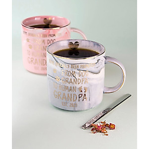 VILIGHT Pregnancy Announcement Gifts for Grandparents est 2023 - New Grandparents Baby Announcement Ideas - Gifts for First Time Grandma and Grandpa - Mugs Set 11.5 oz