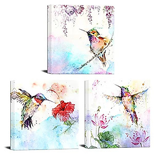 3Pcs Bird Canvas Wall Art Animal Picture Artwork Hummingbirds and Red Purple Flower Canvas Print Abstract Painting Vintage Wall Decor for Bedroom Office Home Farmhouse 12x12inchx3pcs