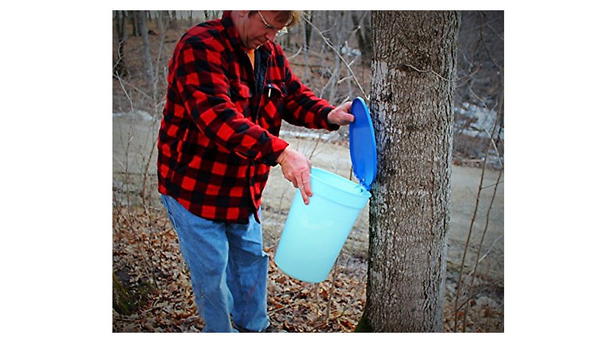 Maple Syrup Tapping Kit - Create Your Own Syrup Today
