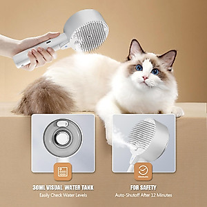Cloud Care Cat Brush for Indoor Cat Steam Brush for Shedding Spritz Defur Comb for Cats Steam Cat Brush for Long Short Hair Cat Dog Pet Steam Brush for Cats Massage Grooming Self-Cleaning (White)