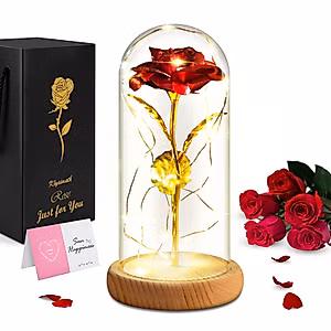 Klysimath Beauty and The Beast Rose, Red Rose Gifts for Women, Forever Rose in Glass Dome, Enchanted Rose Romantic Gifts for Her, Girlfriend, Wife, Mom, Valentine's Day, Mother's Day