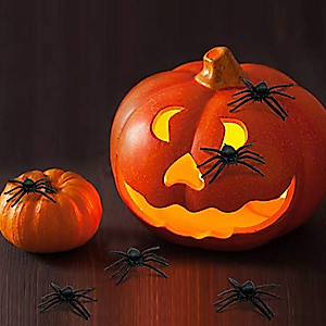 Caritty 50PCS Halloween Realistic Plastic Spider, Fake Spider Prank Prop Joke Toys for Halloween Decorations, Plastic Spiders Halloween, Black Scary Spiders for Kids, Great Party Favors