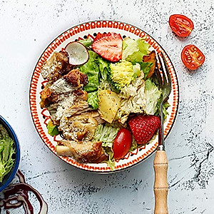 Farielyn-X 8 Pack Small Ceramic Bowls - Porcelain, Soup, Salad, Pasta, Rice, Dessert, Yoghurt, Condiments, Side Dishes, Dip, Ice Cream Ceramic Bowls, 4.75 Inch Diameter, 10 Fluid Ounce (1.25 Cup) Capa