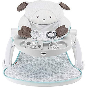 Replacement Seat Pad for Sit-Me-Up Floor Seat - GBL17 Fisher-Price Baby Sit Up Seat ~ Lamb Theme ~ Replacement Seat Cover in Teal and White