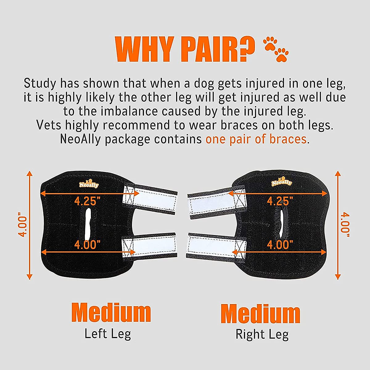 NeoAlly® - Rear Leg Hock Brace with Metal Spring Strips, Dog Leg Brace for Rear Leg, Hock and Ankle Support, Rear Dog Leg Brace for Smaller Dogs, Short Version, Medium, 1 Pair