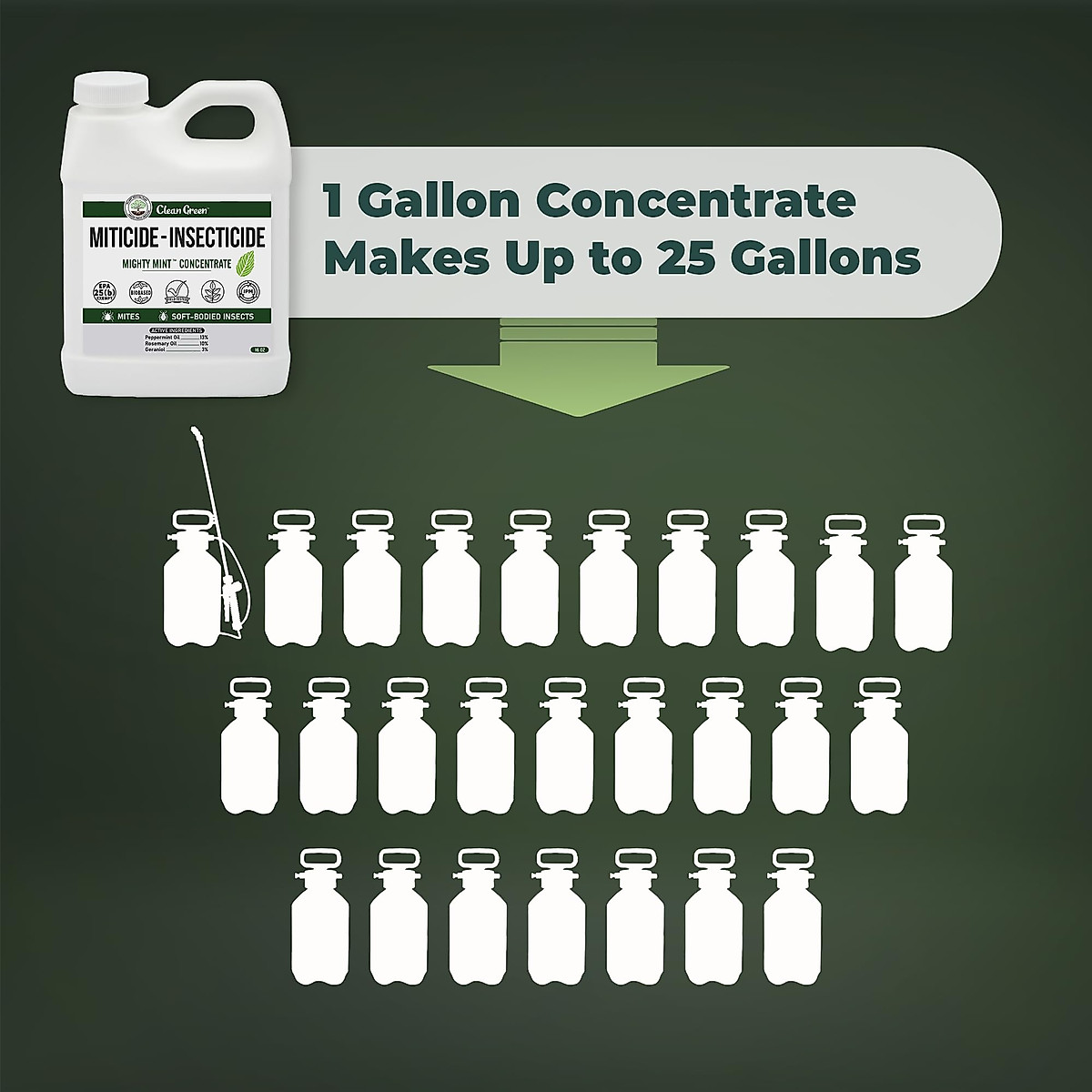Clean Green Miticide - Effective 16oz Organic Insecticide