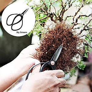 FANSTATE Bonsai Tree Kit, 24 PCs Bonsai Tools Set High Carbon Steel Succulent Trimming Tools Set Include Pruning Shears, Cutters, Training Wires, Bonsai Grooming Care Kit for Starter Gardening Gifts