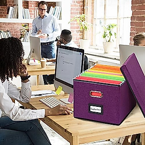 EOOUT File Folder Organizer - 1 Pack, Hanging File Storage Box with Handles