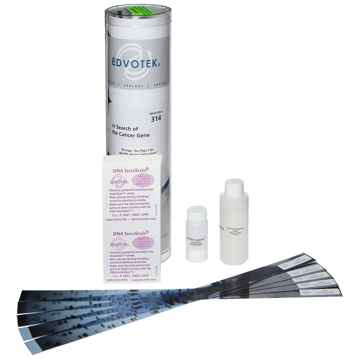 Edvotek 314 In Search of the Cancer Gene, For 6 Group