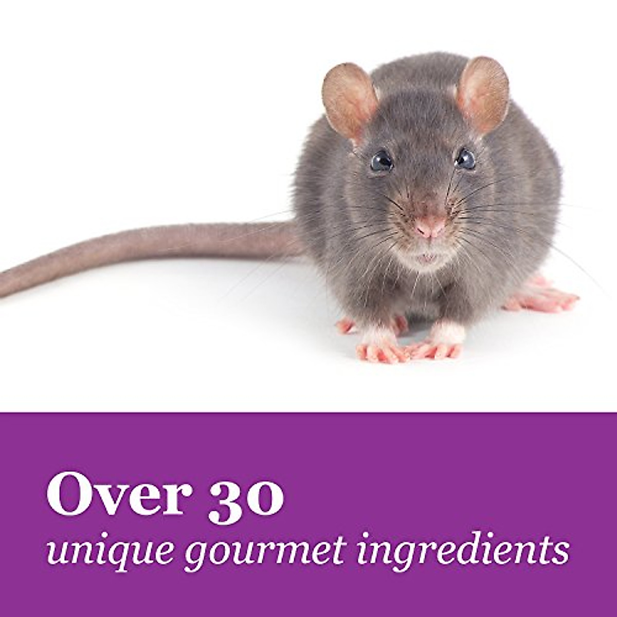 Tropical Carnival F.M. Brown's Gourmet Pet Mouse and Rat Food with Fruits - Veggies, Seeds, and Grains, Vitamin-Nutrient Fortified Daily Diet - 2lb