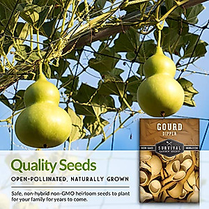 Survival Garden Seeds - Dipper Gourd Seed for Planting - Packet with Instructions to Plant and Grow Birdhouse Gourds in Your Home Vegetable Garden - Non-GMO Heirloom Variety