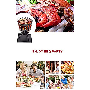 Ygo Barbecue Grill Fire Pit BBQ Charcoal Grill with BBQ Net for Camping Picnic Bonfire Patio Backyard Garden Beaches Park