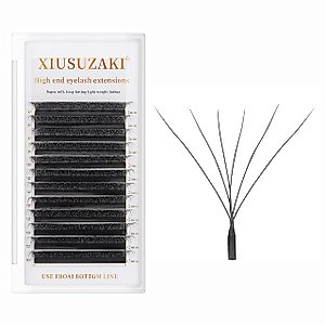 W Eyelash Extension 6D Volume Premade Fans 0.07 D Curl 8-15mm mix W Lashes Matte Black Lash Extensions Easy Fans W Shape Eyelash yy Eye Lashes(6D-0.07D-8-15mm Mix)
