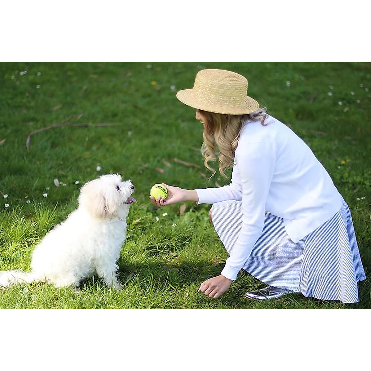 PetSport Tennis Ball Dog Toys | 6 Pack Medium (2.5") Pet Safe Non-Toxic Industrial Strength Felt & Rubber Tuff Balls | Play Fetch, Launch, Chuck or Toss at Dog Park