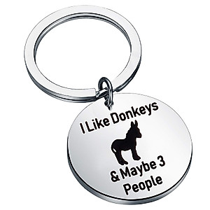 BEKECH Funny Donkey Gift Donkey Keychain I Like Donkeys & Maybe 3 People Donkey Theme Keychain Gift for Donkey Lovers Animal Lovers Horse Gift for Men Women (silver)