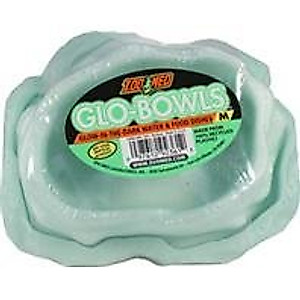 Glo-Bowls Food and Water Combo Dishes (Medium)