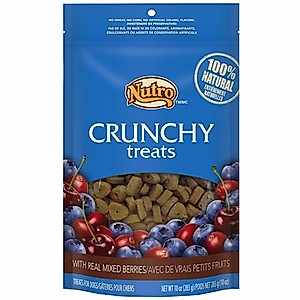 Nutro Crunchy Dog Treats 2 Flavor Variety Bundle: (1) Nutro Crunchy Dog Treats with Real Peanut Butter and (1) Nutro Crunchy Dog Treats with Real Mixed Berries, 10 Ounces Each (2 Bags Total)