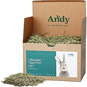 Andy Organic Timothy Hay Rabbit & Guinea Pig Food, 15 Lb Box, 1st Cut Timothy Hay, Premium Hay for Rabbits, Chinchilla, Gerbil, and Small Pet Treats