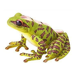 TEDCO 4D Vision Frog Anatomy Model