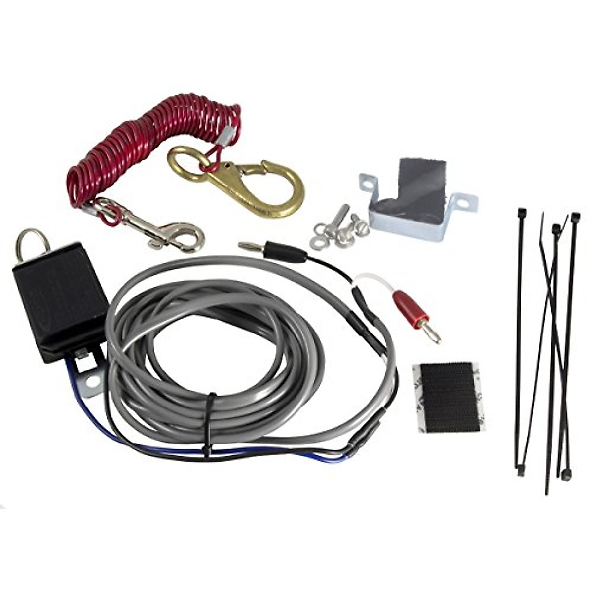 BrakeBuddy 39303 Digital Classic Break-Away System , Black