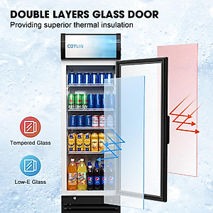 COTLIN Glass Door Merchandiser Refrigerator with LED Lighting, 12.5 cu.ft Commercial Beverage Cooler, Dual-Layer Glass Extra Adjustable Shelves and Drink Organizers, ETL NSF Approved