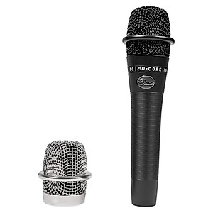 Blue Encore 100 Pro Series Mic