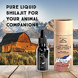 Pure Himalayan Shilajit - Pet Supplement for Dogs, Cats and Horses, Liquid Drops - Trace Minerals & Fulvic Acid (30mL, Pack of 1)