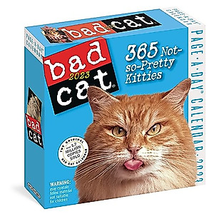 Bad Cat Page-A-Day Calendar 2023: 365 Not So-Pretty Kitties