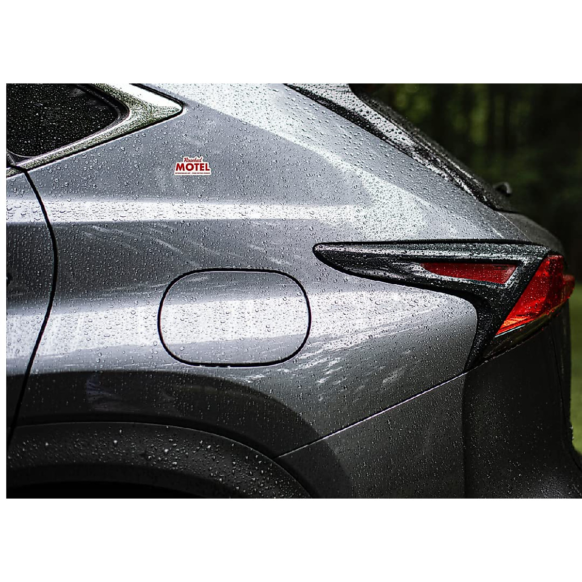 Schitt Swag Creek Small Magnet - Rosebud Hotel Logo - 2.7" by 1`.4" - David, Alexis, Johnny & Moira - Perfect for The Refrigerator, Dorm, Garage, Locker, Vehicle and More! (Small 2.7" by 1.4")