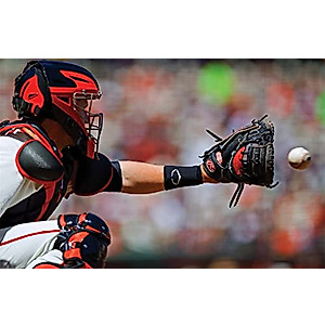 28: A Photographic Tribute to Buster Posey