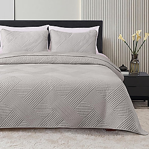 Whale Flotilla Queen Quilt Set, Soft Lightweight Quilts Bedspreads Coverlet with Embossed Pattern, Bedding Sets with 2 Pillow Shams, Reversible Bed Cover for All Seasons, 96x90 Inches, Light Grey