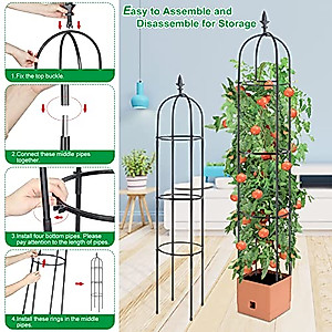 Plant Cages and Supports, Deaunbr Tomato Cage 6FT Tall Plant Stakes Heavy Duty Garden Trellis for Indoor & Outdoor Plants, Climbing Plant, Tomatoes, Vegetables, Fruits, Flowers, Pots, Vines -1 Pcs