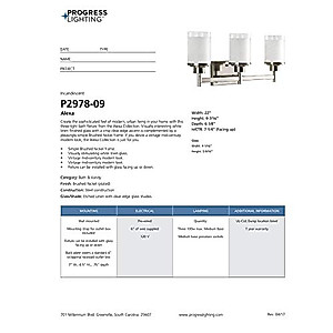 Progress Lighting P2978-09 Alexa Bath & Vanity, 22-Inch Width x 9-3/8-Inch Height, Brushed Nickel