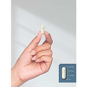 Magnesium Potassium Aspartate Complex | 180 Capsules | Non-GMO and Gluten Free Formula | by Horbaach