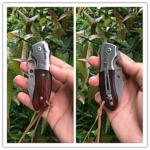 ALBATROSS HGDK007 EDC Sharp Damascus Folding Pocket Knife with Liner Lock-Cote D'Ivoire Sandalwood Handle,Gifts/Collections