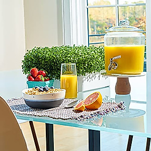 1 Gallon Beverage Dispenser with Stainless Steel Spigot + Marker & Chalkboard 100% Leakproof Glass Drink Dispenser for Parties with Spout, Airtight Beverage Serveware for Water, Juice, Laundry