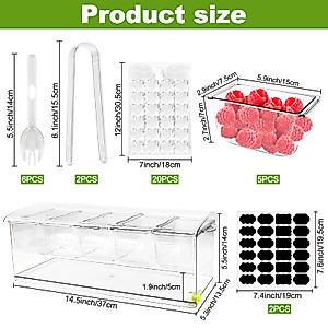 Ice Chilled Condiment Server Caddy, Bar Fruit Caddy with Lid and 5 Removable Compartments, Plastic Storage Food Container Clear Ice Condiment Serving Tray for Party, Toppings Bar Container