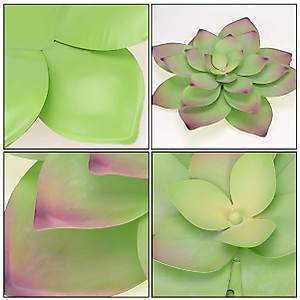HEMOTON 1PC Succulent Wall Hanging Handmade Plants Wall Decor 3D Plants Pendant Decorative Plants Wall Art Decoration for Store Home Office Garden(Green)