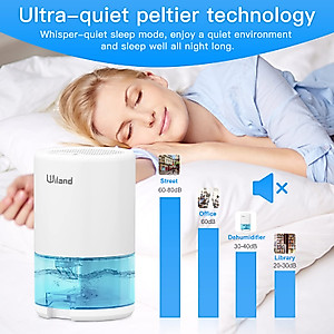 Portable Dehumidifier