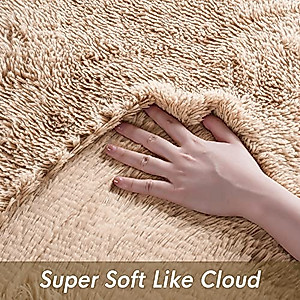 Balacho Modern Soft Shaggy Rugs Fluffy Bedroom Carpet 4x6 Feet Beige, Indoor Shag Fuzzy Area Rug for Living Room Nursery Girls Dorm Apartment Plush Decor, Kids Anti-Skid Play Floor Mat