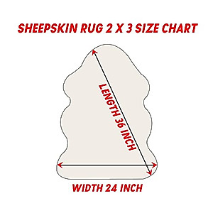 Real Sheepskin Area Rug - Single Pelt Sheep Skin Fur 2x3 Rug (Ivory White)