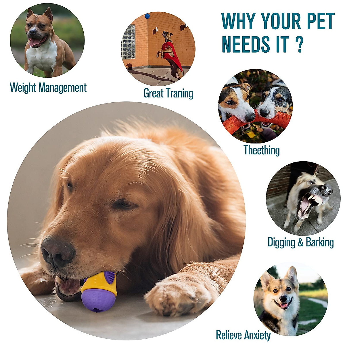 WWW Dog Chew Toys for Aggressive Chewers, Puppy Teething Chew Toy Tough Dog Toys with Natural Rubber for Small Medium Large Breeds, Teeth Cleaning and Gum Massage for Small Medium Large Dog,Red