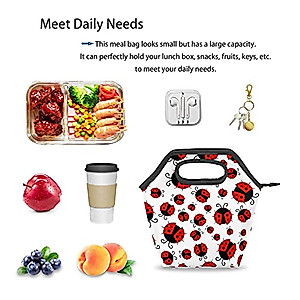 Lunch Bag Cartoon Animal Ladybugs Polka Dot Insulated Lunch Box Bag for Women Kids Children, Reusable Cooler Tote Bag for School Work Picnic Travel