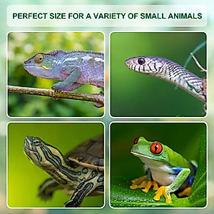 BETAZOOER Reptile Terrarium Breeding Tank Acrylic Reptile Feeding Box with Temperature Hygrometer (11.4"x7.7"x5.9")