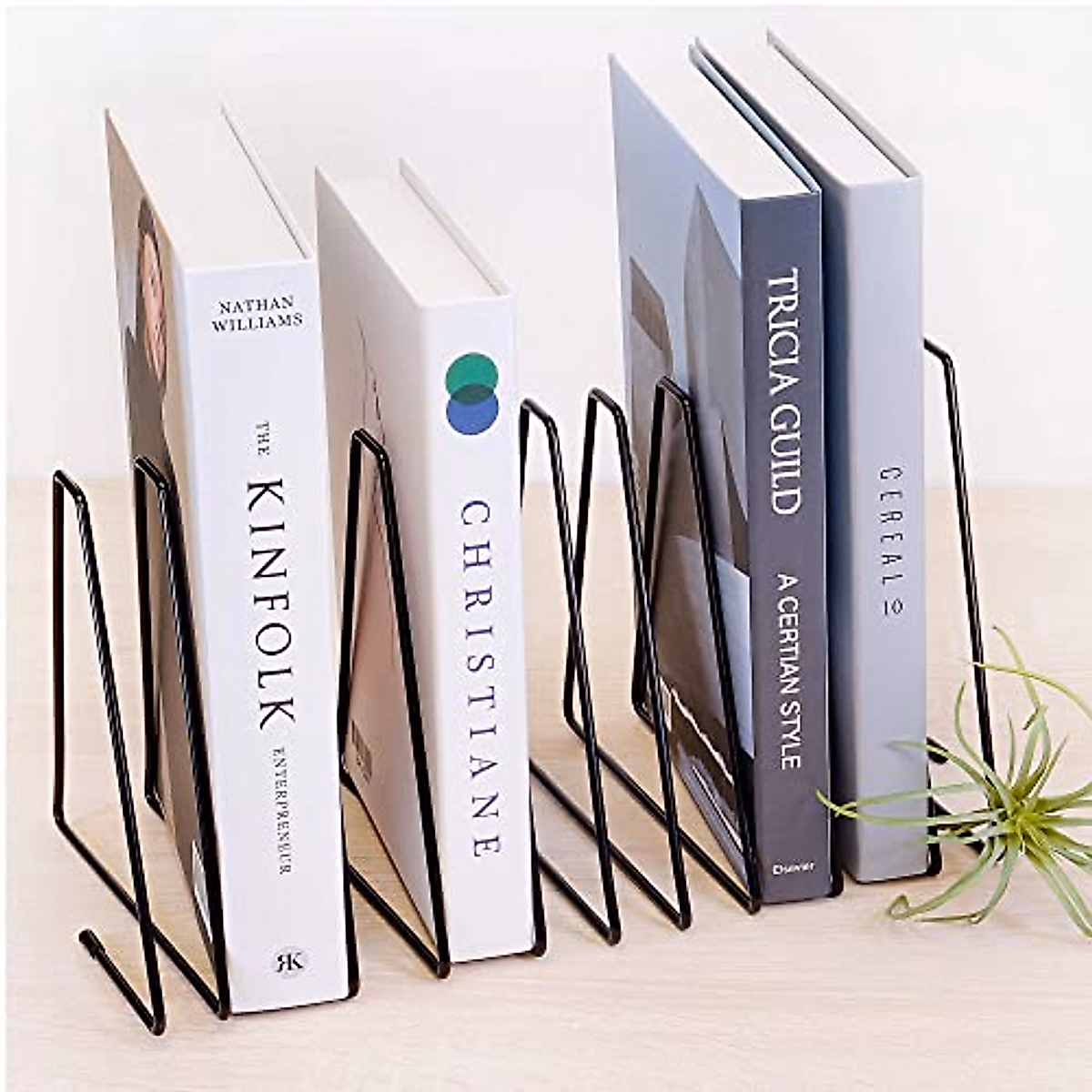 CAXXA 10 Slots Triangle Bookshelf, File Sorter, Metal Wire Magazine Holder, Document Holder, Black