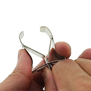 ZCZQC 3pcs Birds Food Holders Parrot Fruit Vegetable Clips for Budgie Parakeet Cockatiel Conure, Stainless Steel Bird Parrot Treat Holder Small Animal Fruit Vegetable Feeder