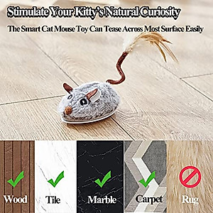 Vealind Interactive Cat Toys with Feather Tail, USB Rechargeable Cat Mouse Toy Automatic Moving for Indoor Cats Hunting and Exercise (Grey)
