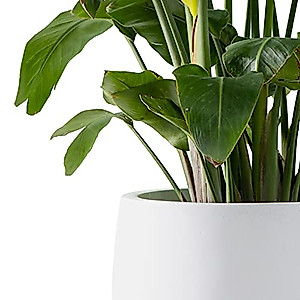Kante 16" Dia. Round Pure White Finish Concrete Bowl Planter, Outdoor Indoor Large Planter Pot with Drainage Hole for Garden, Patio, Balcony, Deck, Living Room (RC0051B-C80011)
