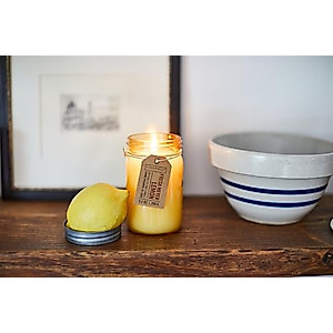 Paddywax Scented Candles Relish Mason Jar with Lid Luxury Artisan Candle, 9.5-Ounce, Fresh Meyer Lemon