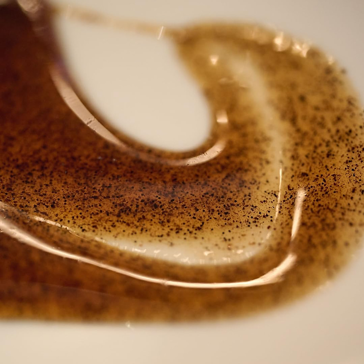 Pure Vanilla Bean Paste | Perfect for Baking and Cooking | Vanilla Bean Project | 1 Gallon